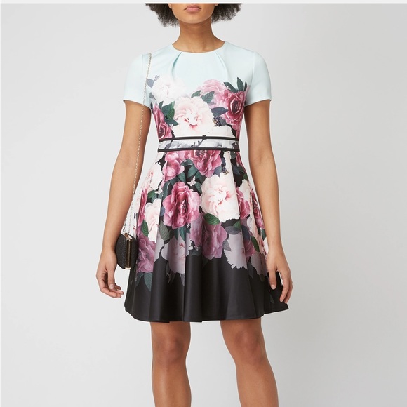 Ted Baker | Dresses | Ted Baker Wilmana Magnificent Floral Skater Dress ...